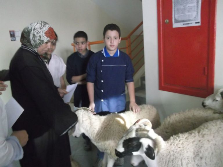 Nos Activités | Institution AL INBIAAT Privée